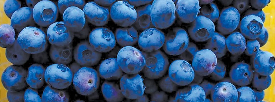 Grocery Stores | Super One Foods